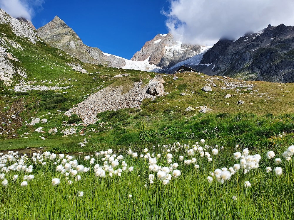 Tour du Mont Blanc en bivouac - 7 jours | Trekking Mont Blanc
